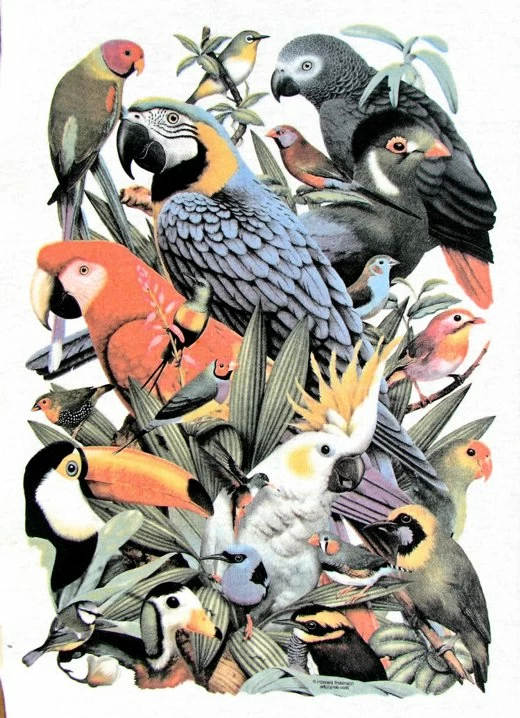 Photochromic – SRV Damage Preventions